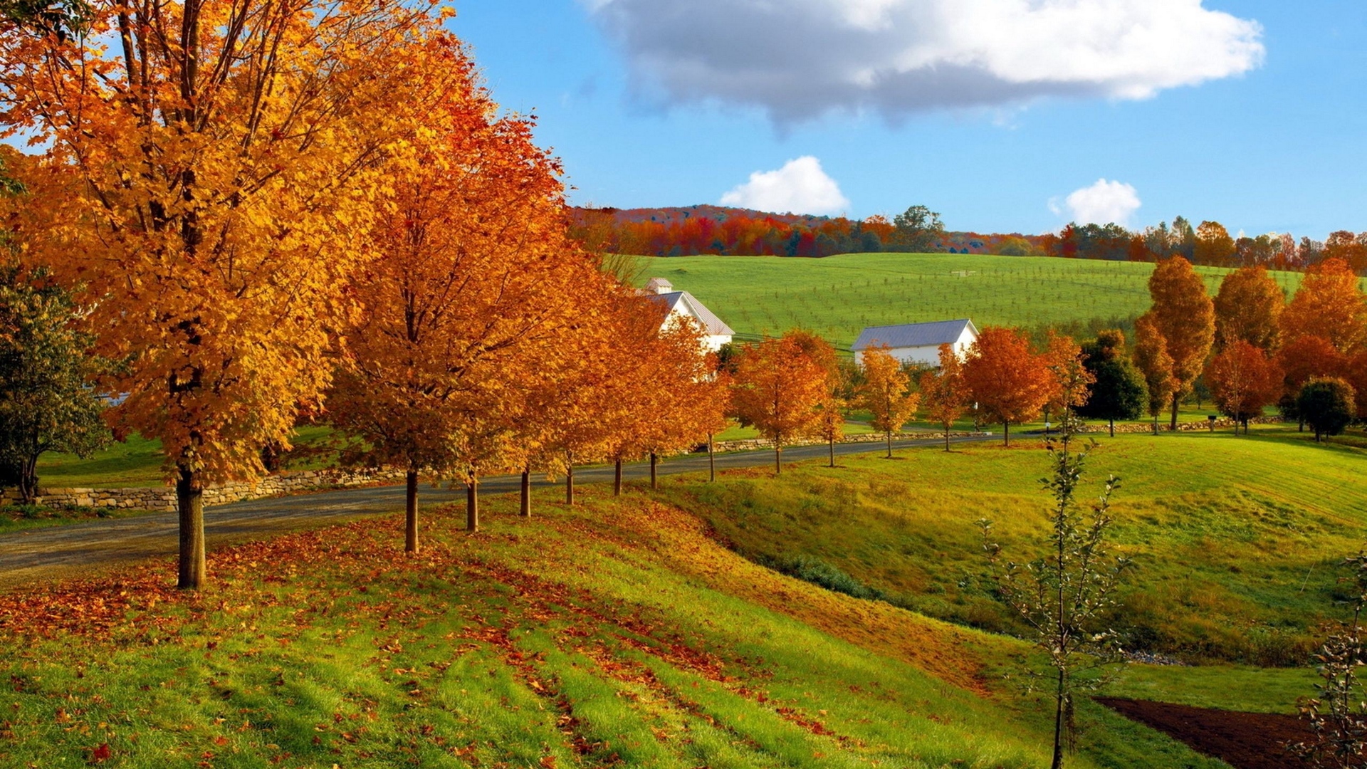 4911-trees-autumn-landscape-view-wallpaper-free-photo | BBG AL ILMU